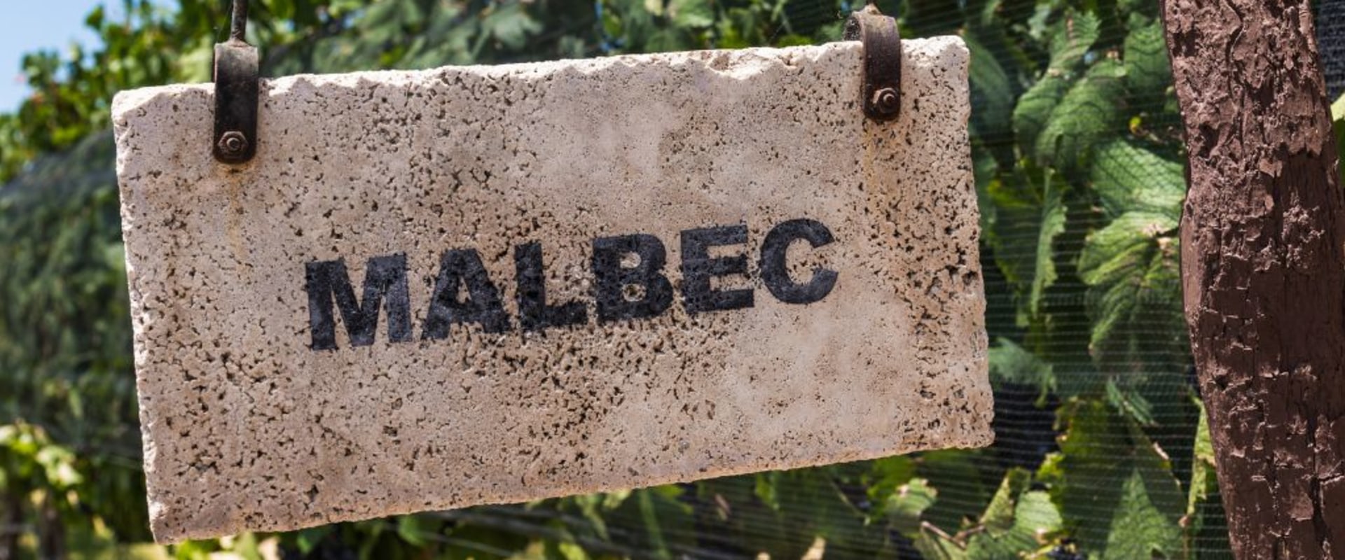 Is Malbec Sweet or Dry? Wine Experts Reveal What to Expect