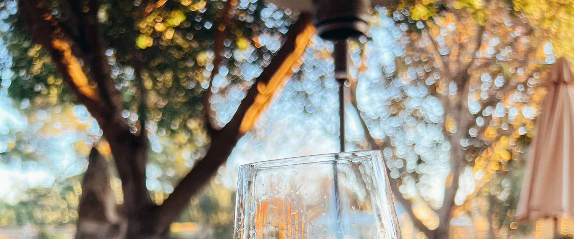 The Best Wines for Beginners: A Guide to Mild and Smooth Wines